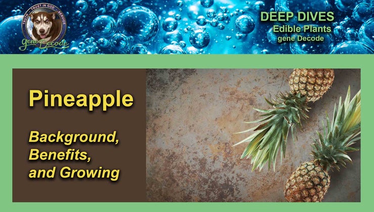 Gene Decode, Deep Dives, Pineapple, Benefits, Growing | Gene Decode
