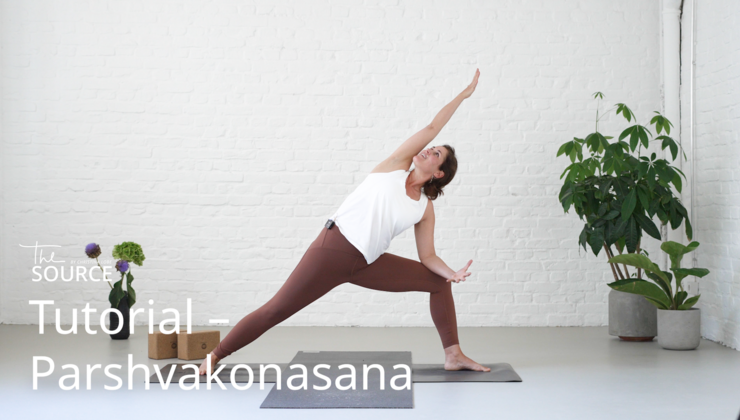 Parshvakonasana Tutorial | thesource.yoga