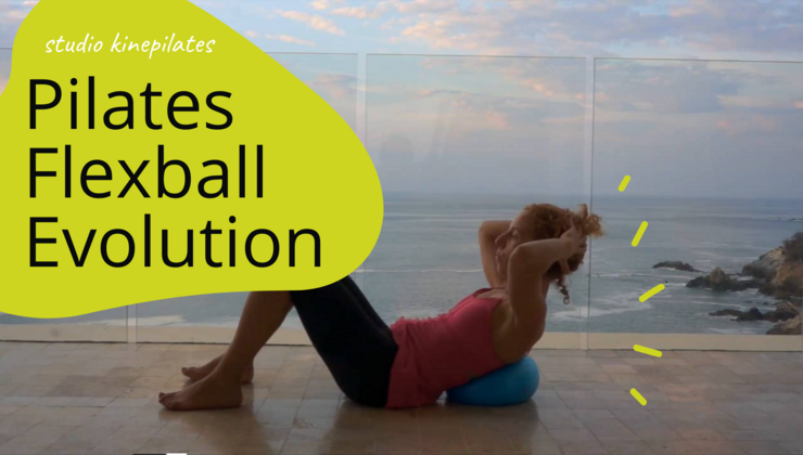 Pilates Evolution Flexball
