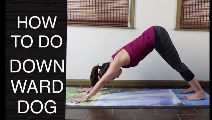 How to Do Downward Facing Dog - Yoga Pose Tutorial (Part 1 | Yoga Upload Plus