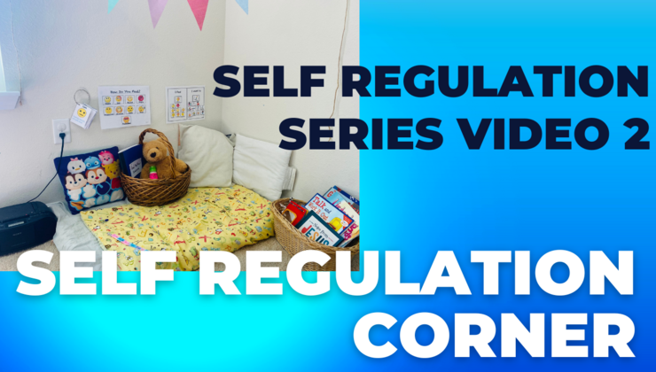 Self Regulation Video 2: Self Regulation Corner | Bloom Sisters