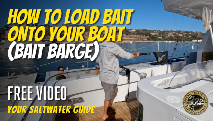 How To Load Bait Onto Your Boat (Bait Barge) | Your Saltwater Guide