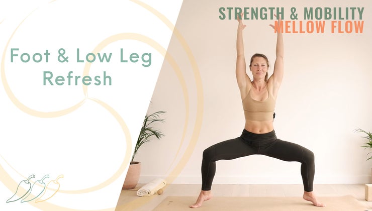 Foot and Low Leg Refresh | Connected Yoga