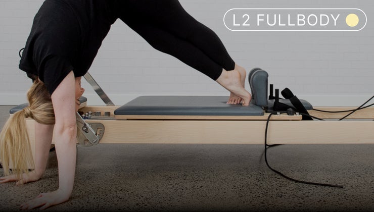 Level 2 Full Body 14