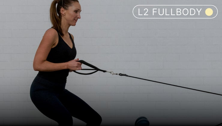 Level 2 Full Body 23