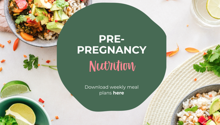 Pre Pregnancy Nutrition