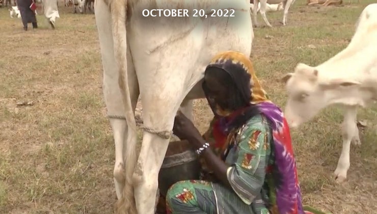Chad Milk Shortage | WORLD Watch