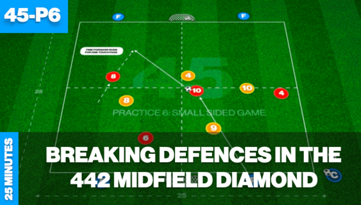 Developing the Diamond (SSG) | 45-P6