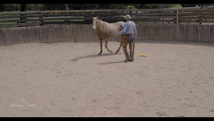 GETTING STARTED WITH ZIVA