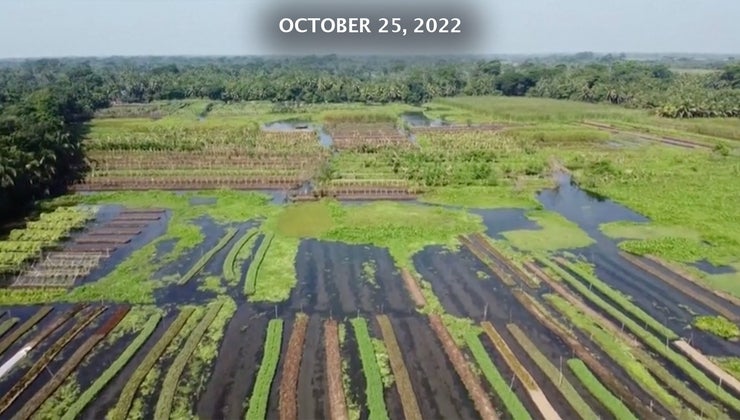 Floating Farms | WORLD Watch