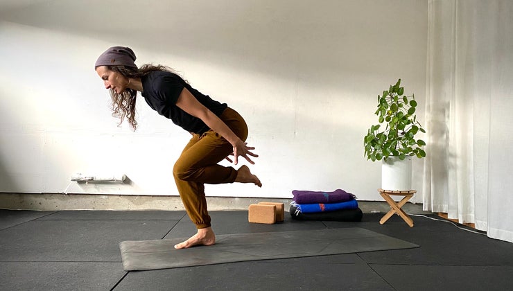 Wild Chaturanga & Core - Power Flow 80 min. | Bonnie Weeks