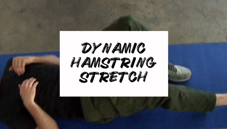 Dynamic Hamstring Stretch