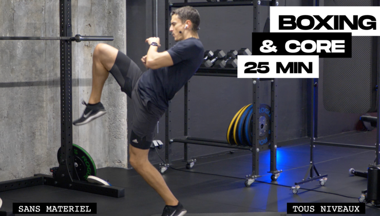 396 - BOXING & CORE - 25 MIN
