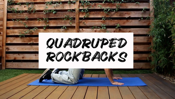 Quadruped Rockbacks