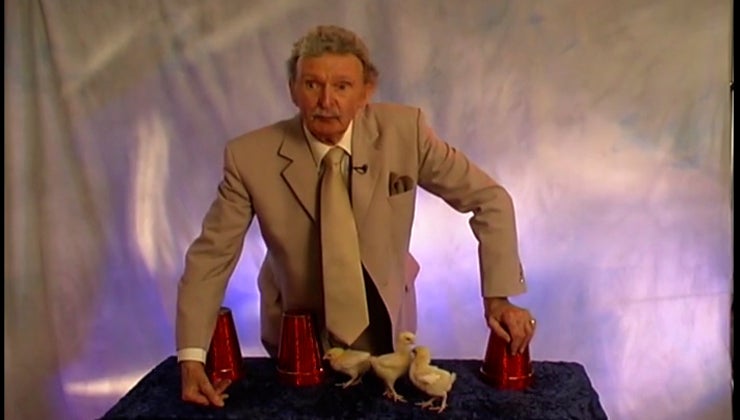 Cups & Balls with Chicks by Mark Raffles