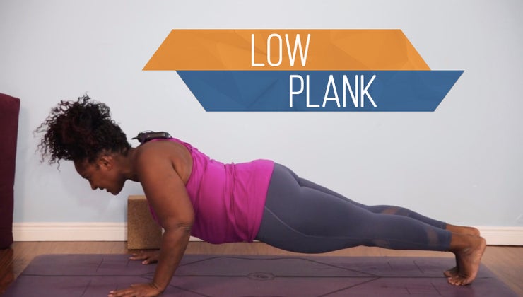 Low Plank Pose / Chaturanga Dandasana