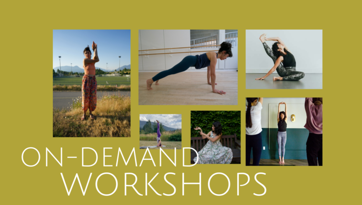 Seeker On-Demand Workshops