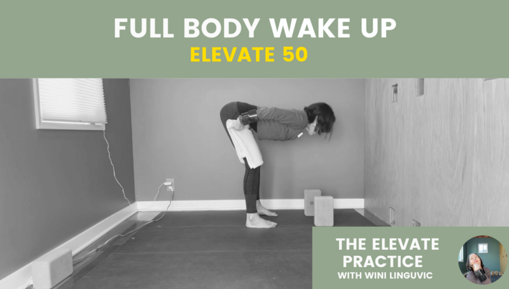 Full Body Wake Up: Elevate 50 | The Elevate Practice