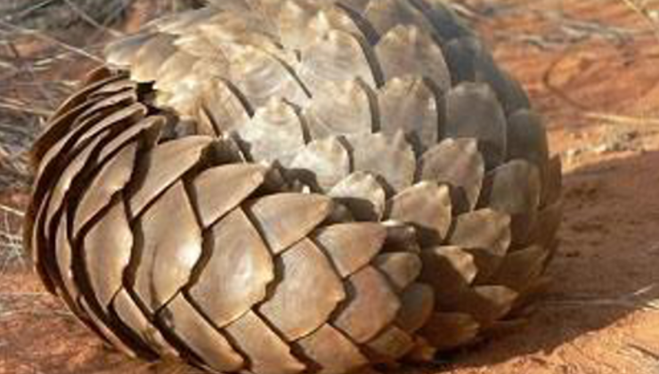 Gr.3 Begripstoets - Ietermagog se Talent | Raising brightness