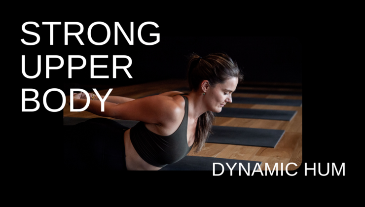 Strong Upper Body Dynamic with Daisy