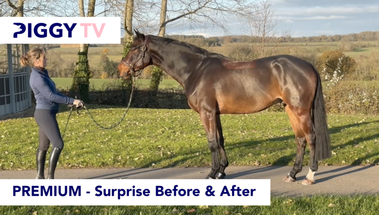 Surprise Before & After | Piggy TV