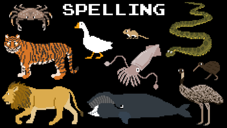 Animal Spelling 2 | The Kids' Picture Show