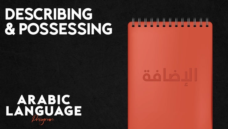 6. Describing & Possessing