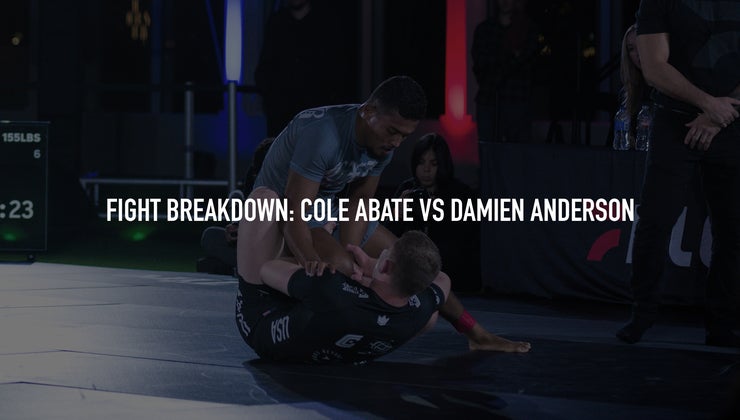 Fight Breakdown: Cole Abate versus Damien Anderson