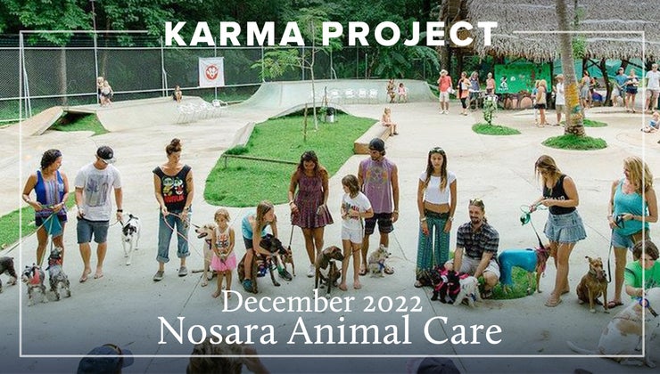 December 2022 Karma Project | Nosara Animal Care