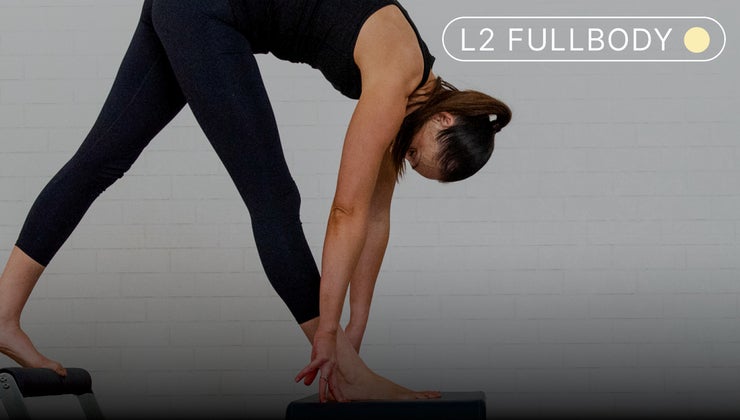 Level 2 Full Body 32