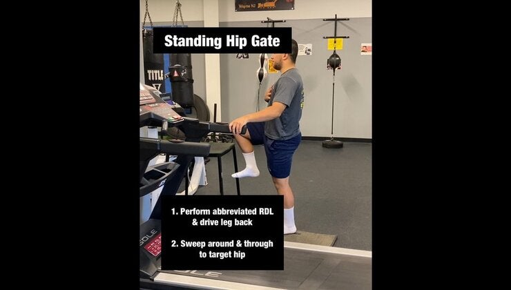 STANDING HIP GATE (STANDARD)