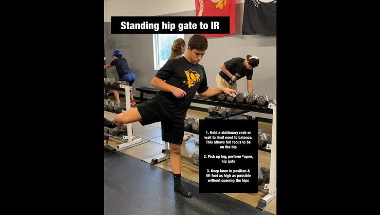 STANDING HIP GATE TO IR