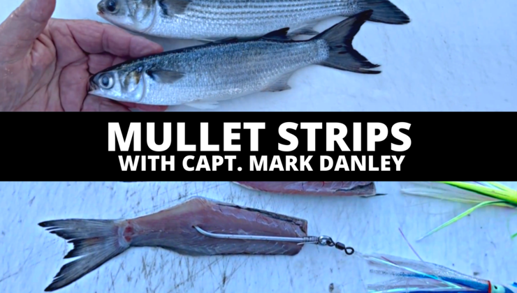 Mullet Strips with Capt. Mark Danley | The Crew Platform