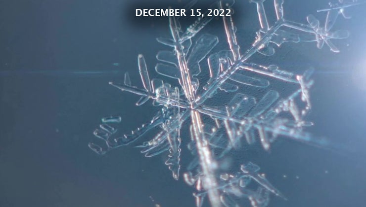 Signature Science: Snowflakes | WORLD Watch