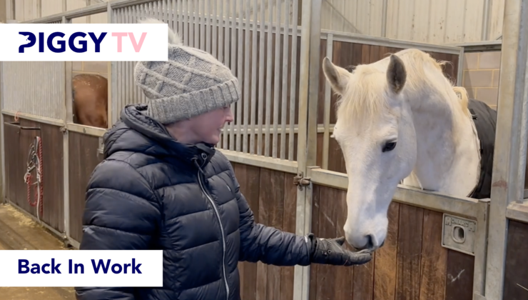 Back In Work | Piggy TV