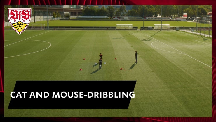 Cat and Mouse-Dribbling / Ball control drill for children | ADVANCE ...