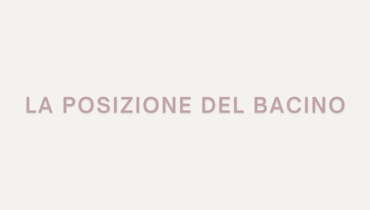 LA POSIZIONE DEL BACINO