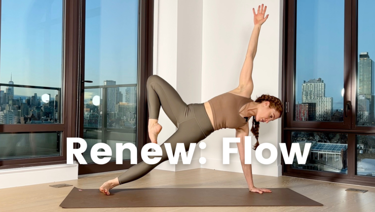 Renew: Flow Program Guide