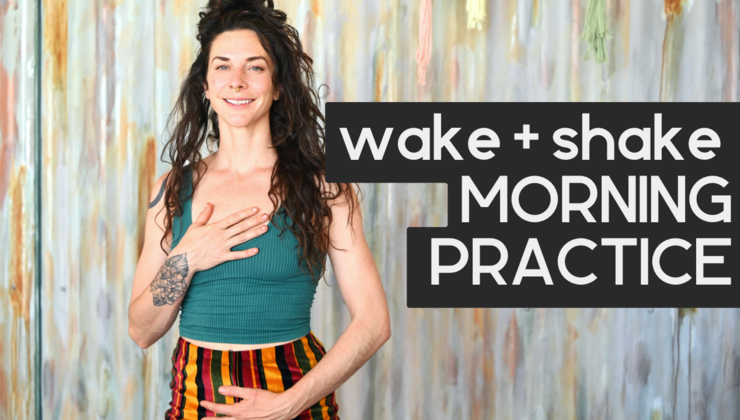 Morning Wake + Shake Yoga | A Practice for Grounding + Ener | CCY Studio