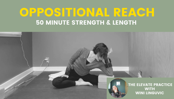 Oppositional Reach: Full Body | The Elevate Practice