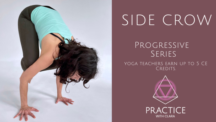 Side Crow | 5 CE Hours with Yoga Alliance