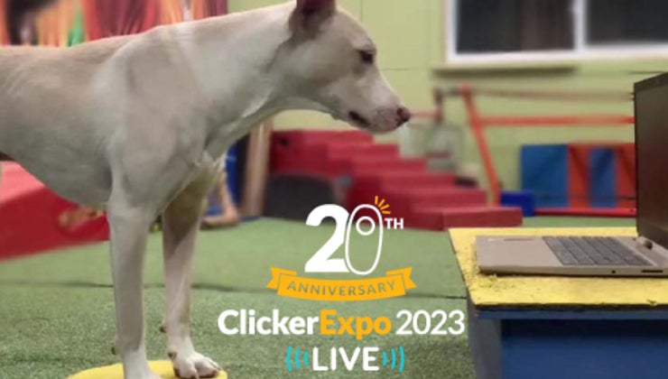ClickerExpo 2023 - Lifetime Access | Video on Demand by Karen Pryor Clicker Training