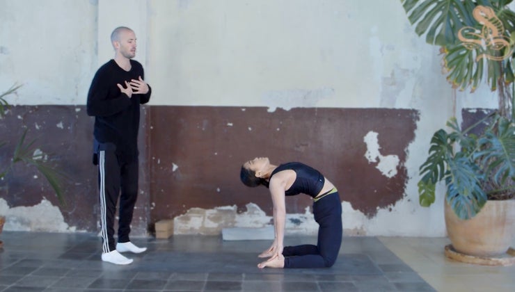 Backbending Focus: Open Class with Mitch Burnett