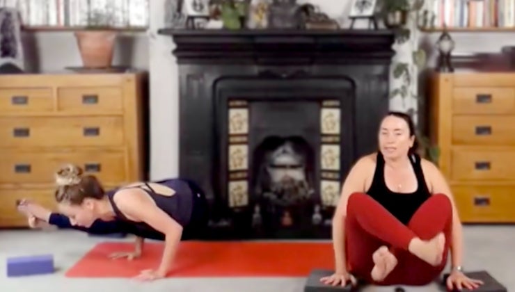 Open Class - Eight Angles & Bird of Paradise with Emma Henry