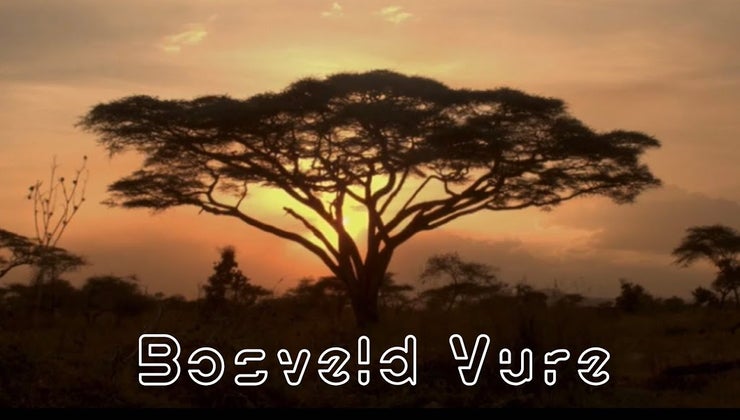 Bosveld Vure - Die Broers met Sunette Bridges | Jou Afrikaans