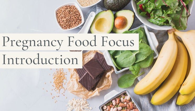Food Focus Introduction