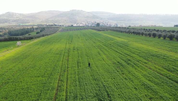 Hill of Moreh - Your Hope Rises from the Dead