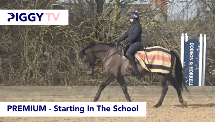 Starting In The School | Piggy TV