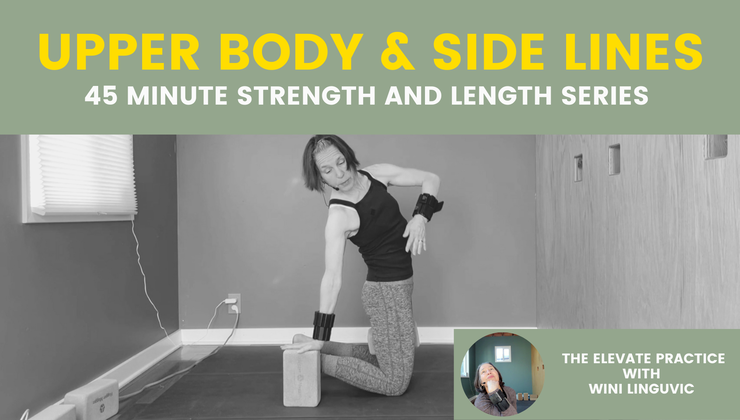Upper Body And Side Lines Series | The Elevate Practice