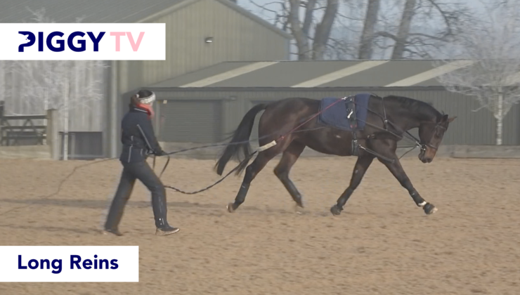 Long Reins | Piggy TV